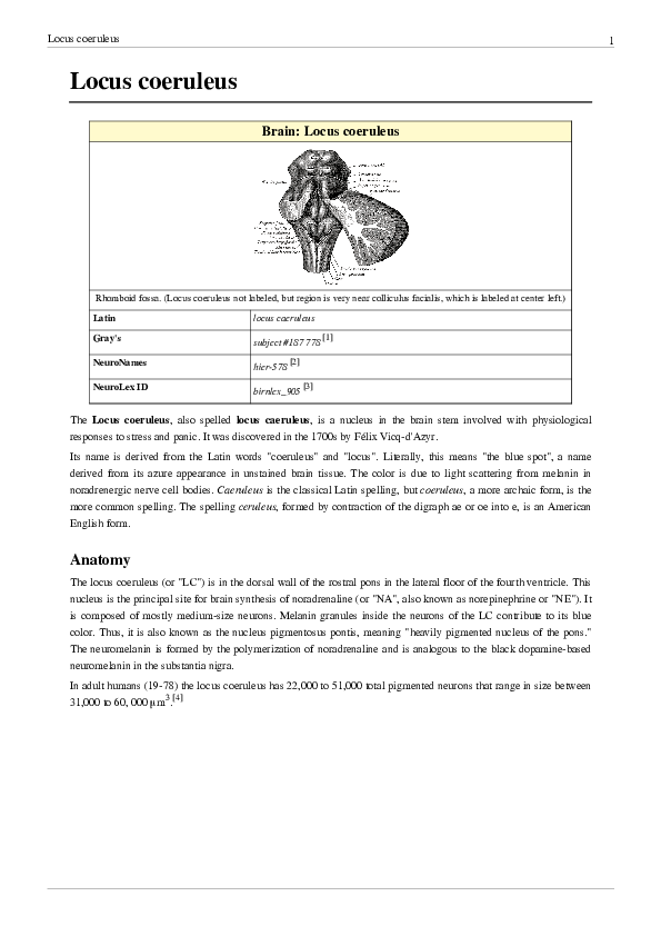 (PDF) Locus coeruleus Brain : Locus coeruleus