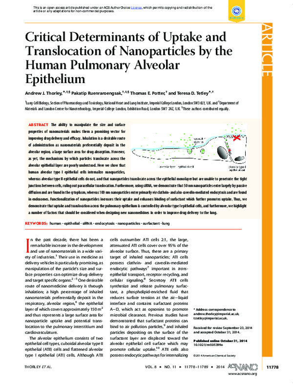 (PDF) Critical Determinants of Uptake and Translocation of ...