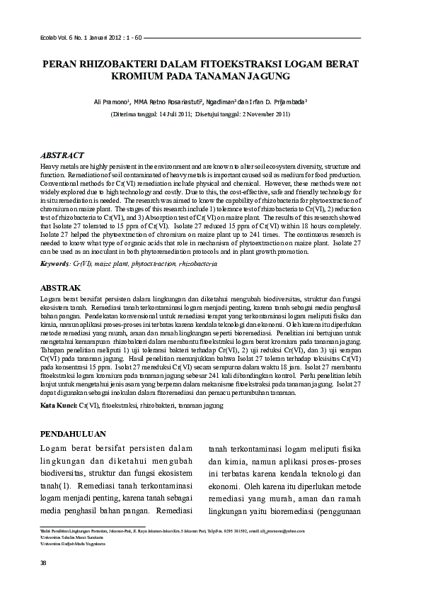 (PDF) Peran Rhizobakteri Dalam Fitoekstraksi Logam Berat Kromium Pada ...