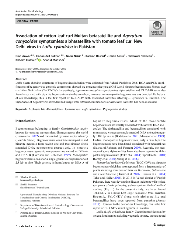 (PDF) Association of cotton leaf curl Multan betasatellite and Ageratum ...