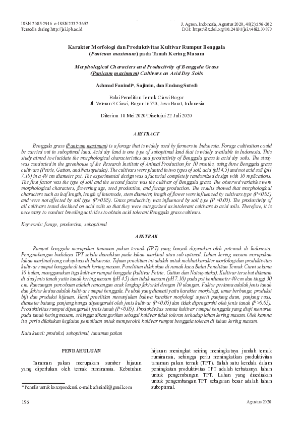 (PDF) Karakter Morfologi dan Produktivitas Kultivar Rumput Benggala ...
