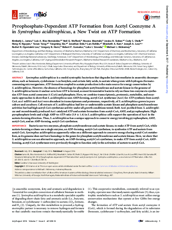 (PDF) Pyrophosphate-Dependent ATP Formation from Acetyl Coenzyme A in Syntrophus aciditrophicus ...