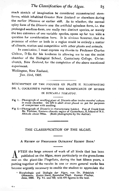 (PDF) Classification of Algae