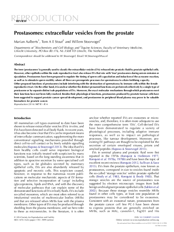 (PDF) Prostasomes: extracellular vesicles from the prostate