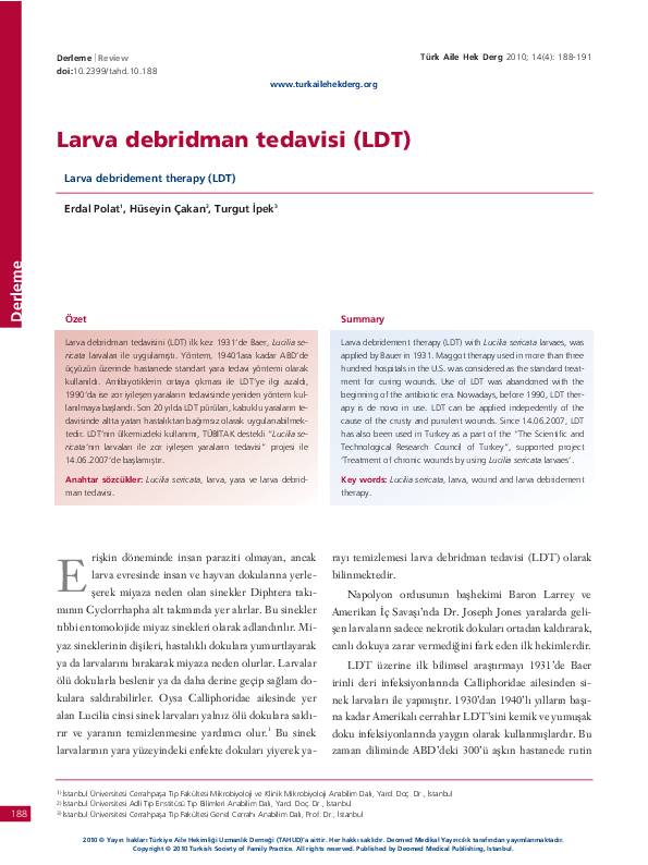 (PDF) Larva debridman tedavisi (LDT)
