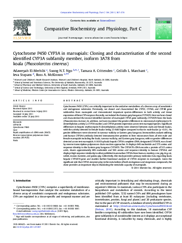 (PDF) Cytochrome P450 CYP3A in marsupials: Cloning and characterisation of the second identified ...