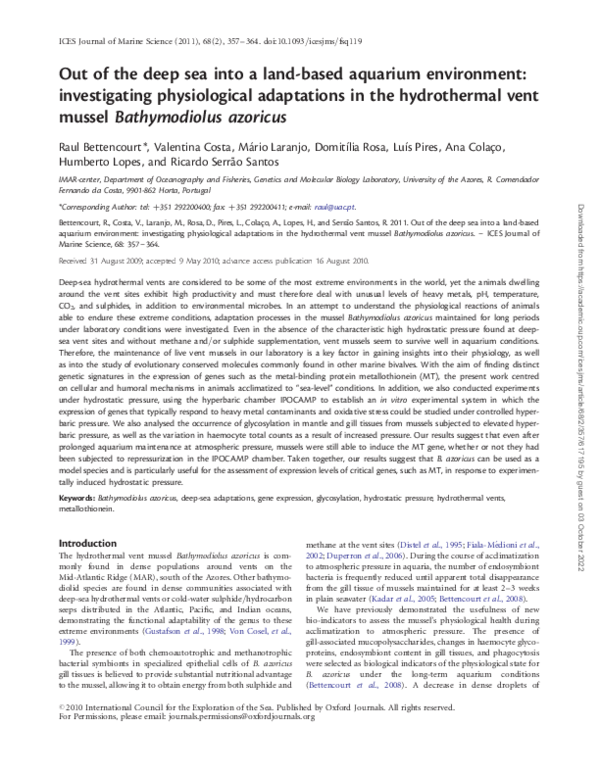 (PDF) mussel Bathymodiolus