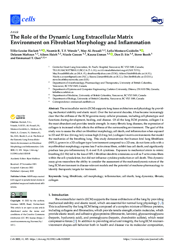 (PDF) The Role of the Dynamic Lung Extracellular Matrix Environment on ...