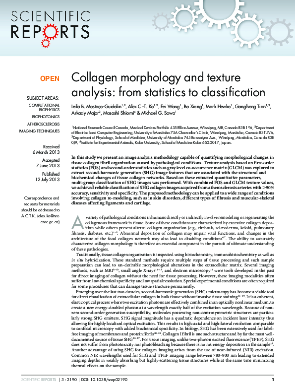 (PDF) Collagen morphology and texture analysis: from statistics to classification