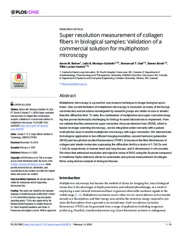 (PDF) Super resolution measurement of collagen fibers in biological ...