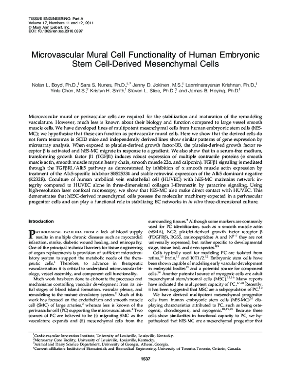 (PDF) Microvascular Mural Cell Functionality of Human Embryonic Stem ...