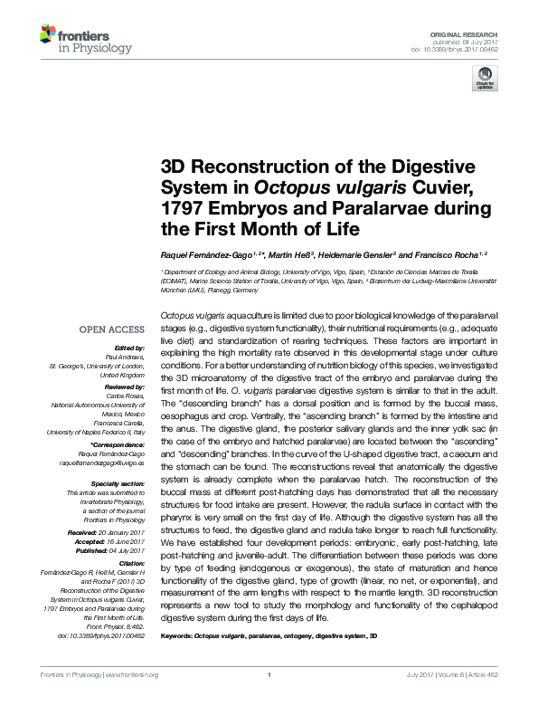 (PDF) 3D Reconstruction of the Digestive System in Octopus vulgaris ...