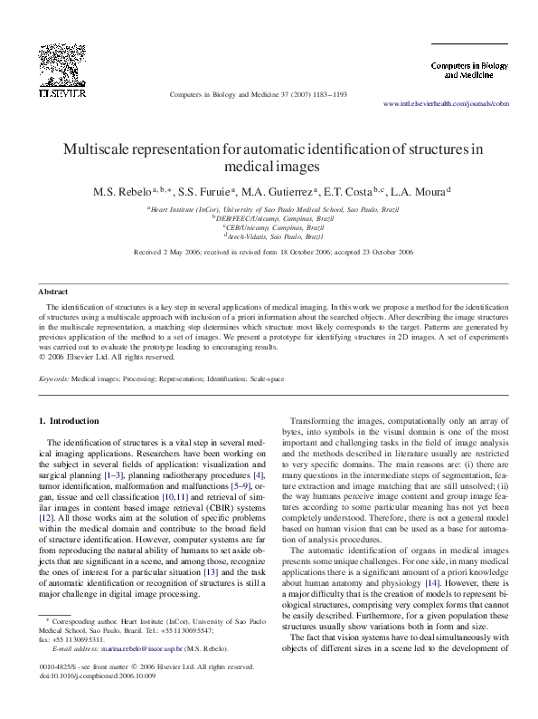 (PDF) Multiscale representation for automatic identification of structures in medical images ...