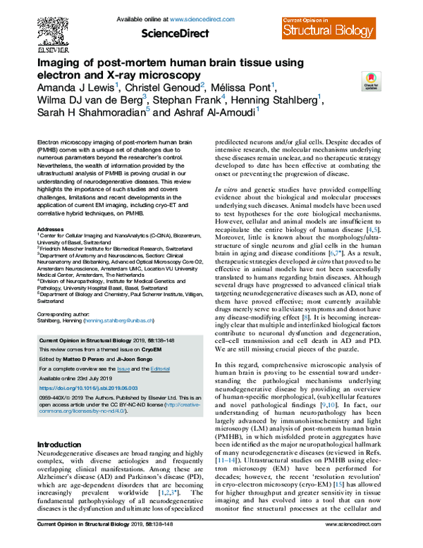 (PDF) Imaging of post-mortem human brain tissue using electron and X-ray microscopy