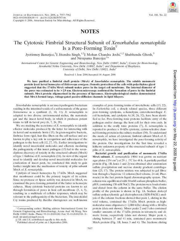 (PDF) The Cytotoxic Fimbrial Structural Subunit of Xenorhabdus ...