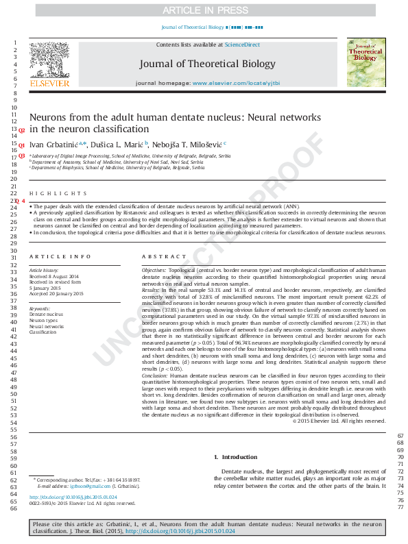 (PDF) Neurons from the adult human dentate nucleus: Neural networks in ...