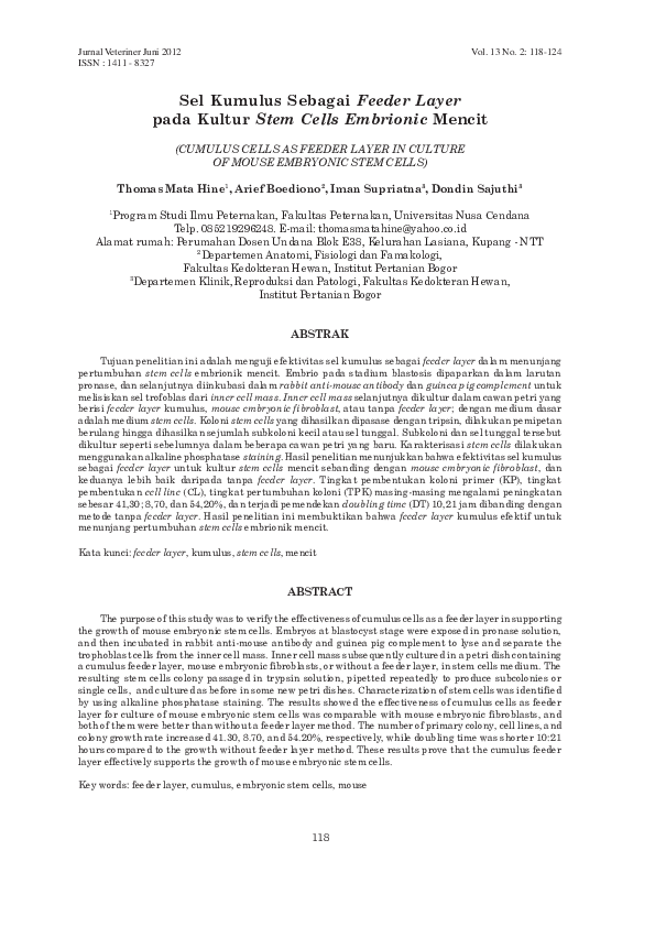 (PDF) Sel Kumulus Sebagai Feeder Layer pada Kultur Stem Cells Embrionic ...