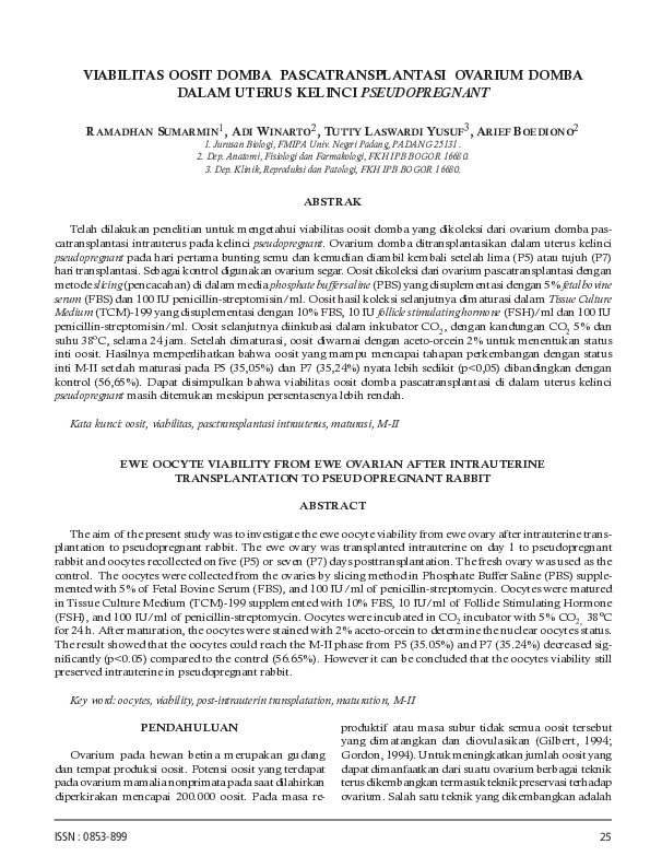 (PDF) Viabilitas Oosit Domba Pascatransplantasi Ovarium Domba Dalam ...