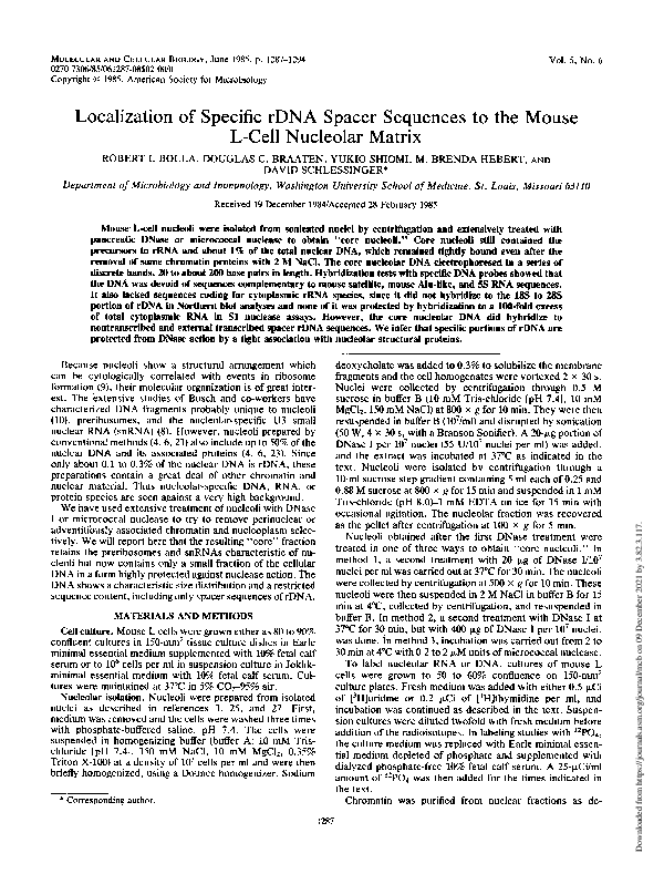 (PDF) Localization of specific rDNA spacer sequences to the mouse L ...