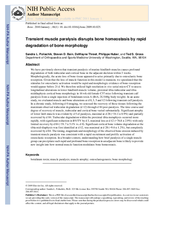 (PDF) Transient muscle paralysis disrupts bone homeostasis by rapid ...