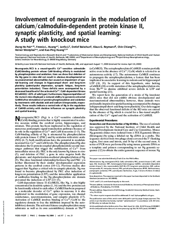 (PDF) Involvement of neurogranin in the modulation of calcium/calmodulin-dependent protein ...