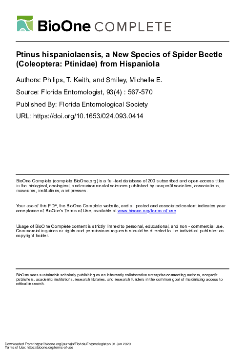 (PDF) Ptinus hispaniolaensis, a New Species of Spider Beetle (Coleoptera: Ptinidae) from Hispaniola