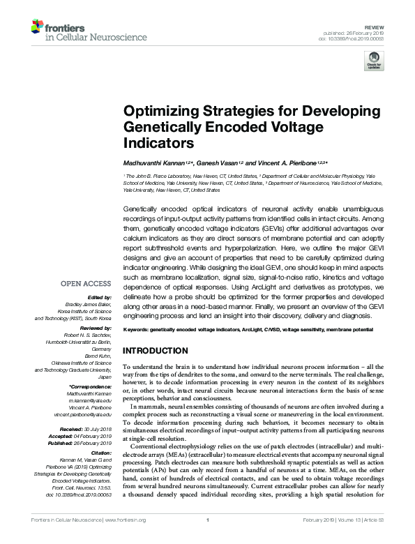 (PDF) Optimizing Strategies for Developing Genetically Encoded Voltage Indicators