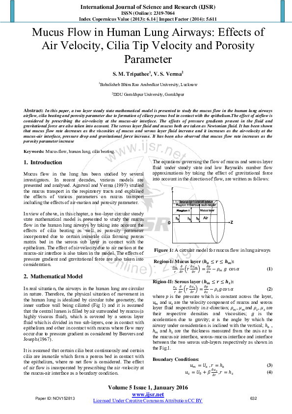 (PDF) Mucus Flow in Human Lung Airways: Effects of Air Velocity, Cilia ...