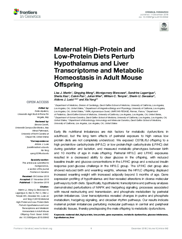 (PDF) Maternal High-Protein and Low-Protein Diets Perturb Hypothalamus ...