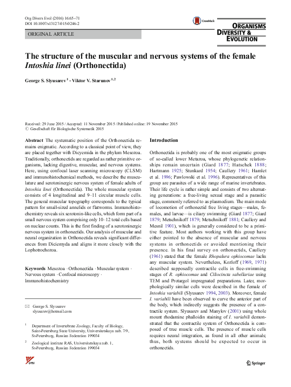 (PDF) The structure of the muscular and nervous systems of the female ...
