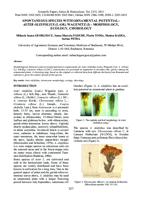(PDF) Spontaneous Species with Ornamental Potential: Aster Oleifolius ...