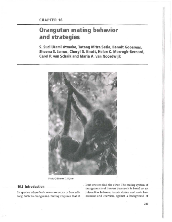 (PDF) Orangutan mating behavior and strategies
