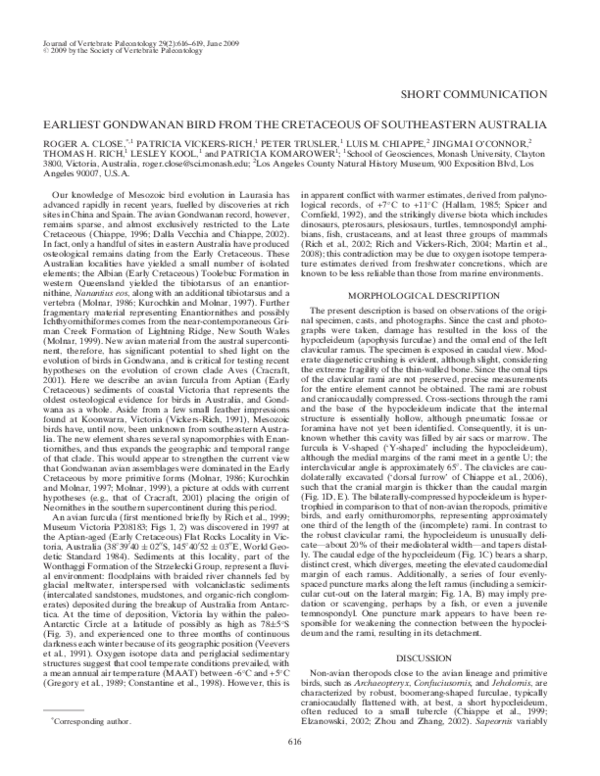 (PDF) Earliest Gondwanan bird from the Cretaceous of southeastern Australia