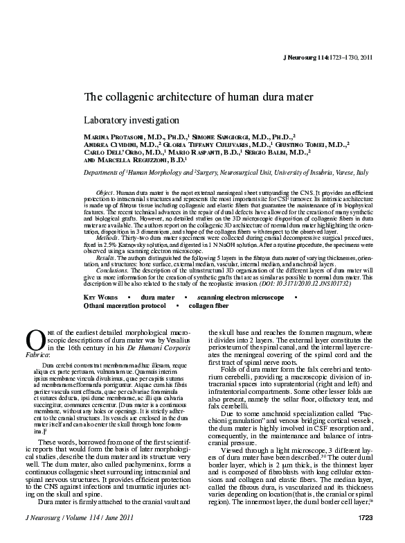 (PDF) The collagenic architecture of human dura mater