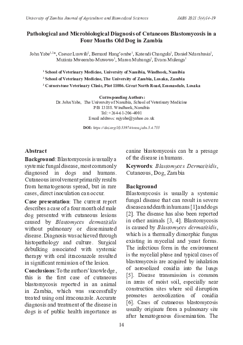 (PDF) Pathological and Microbiological Diagnosis of Cutaneous ...