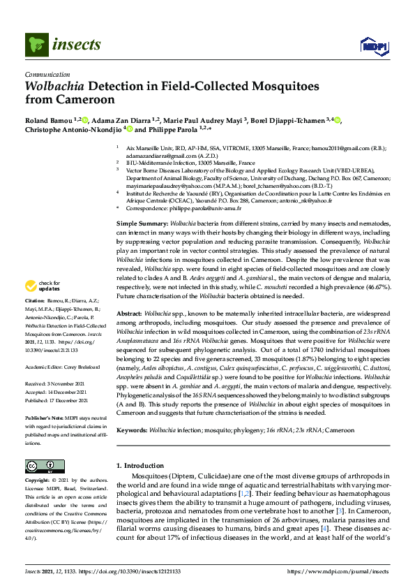 (PDF) Wolbachia Detection in Field-Collected Mosquitoes from Cameroon
