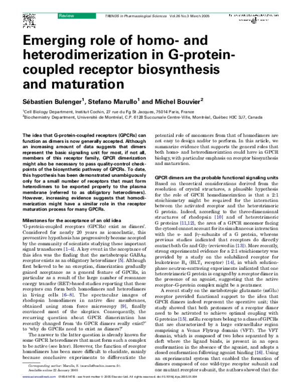(PDF) Emerging role of homo- and heterodimerization in G-protein ...