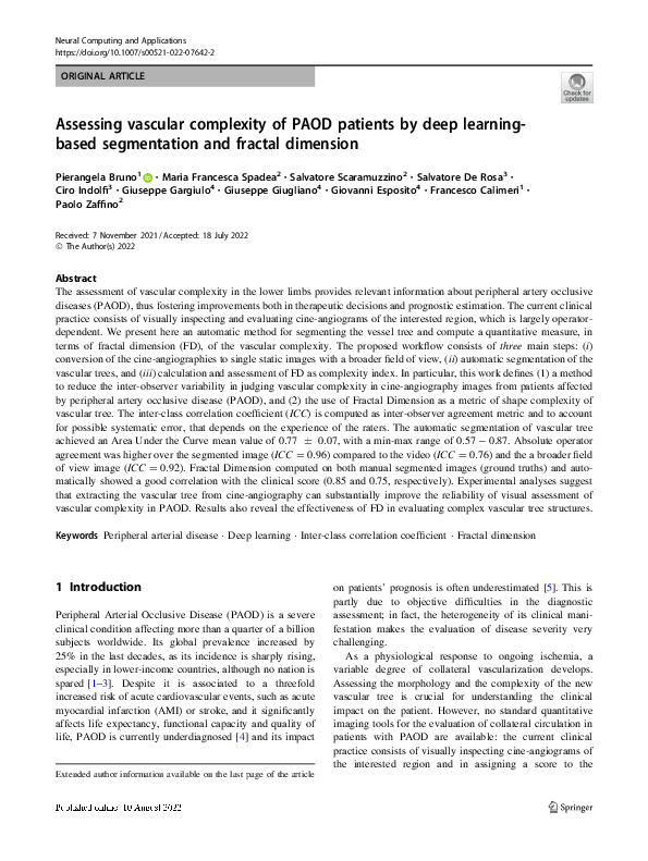 (PDF) Assessing vascular complexity of PAOD patients by deep learning ...