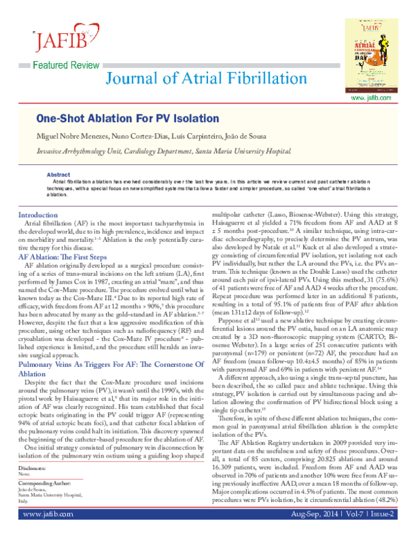 (PDF) One-Shot Ablation For PV Isolation