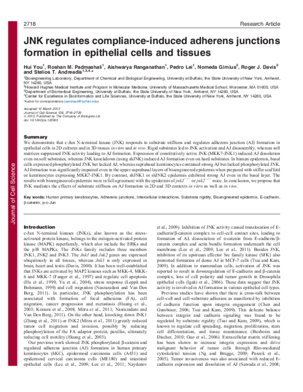 (PDF) Compliance-induced adherens junction formation in epithelial ...