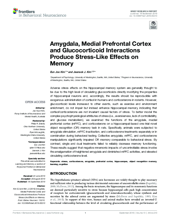 (PDF) Amygdala, Medial Prefrontal Cortex and Glucocorticoid Interactions Produce Stress-Like ...