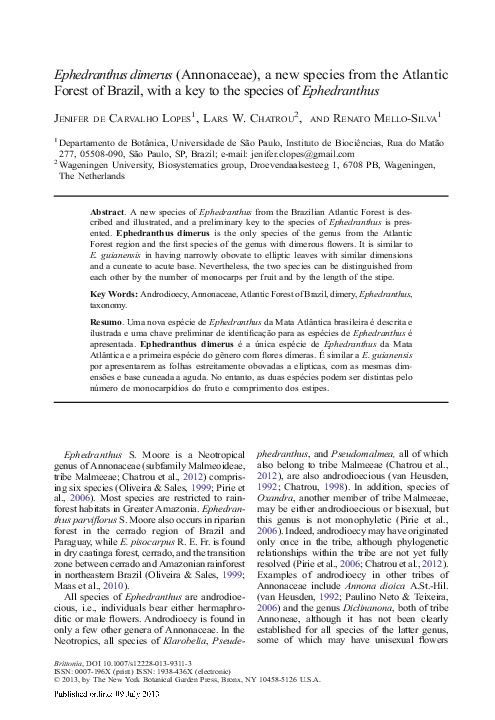 (PDF) Ephedranthus dimerus (Annonaceae), a new species from the ...
