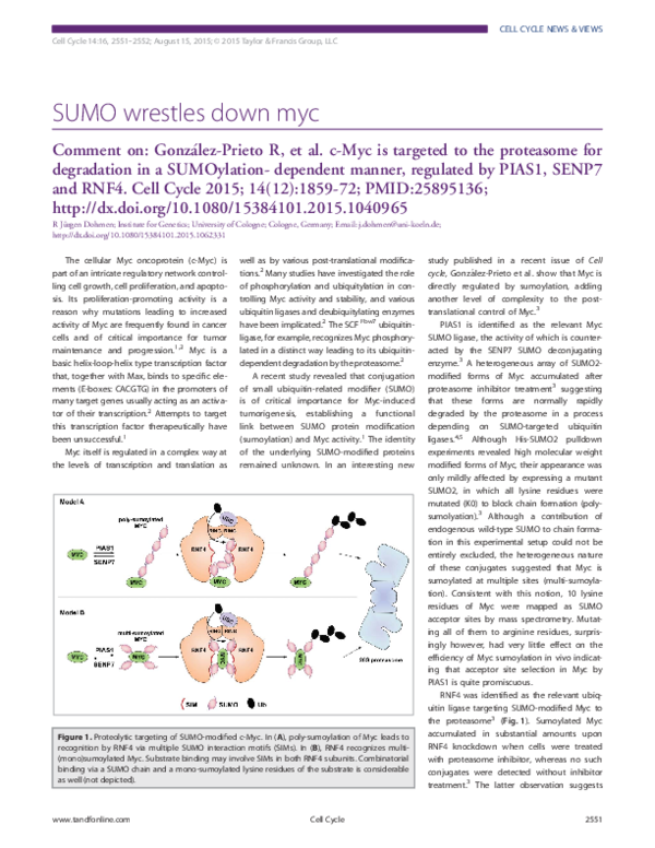Pdf Modeling Design Fabrication And Performance Of Rectangular μ
