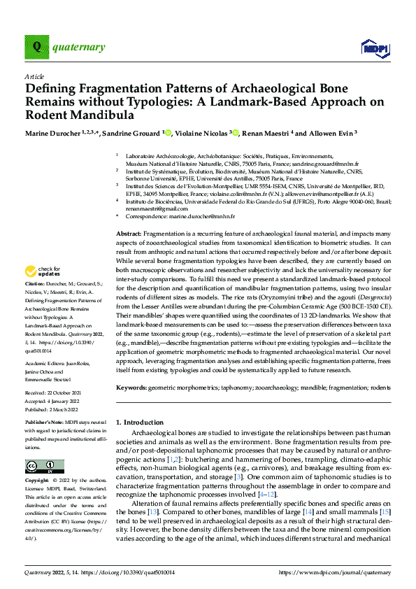 (PDF) Defining Fragmentation Patterns of Archaeological Bone Remains ...