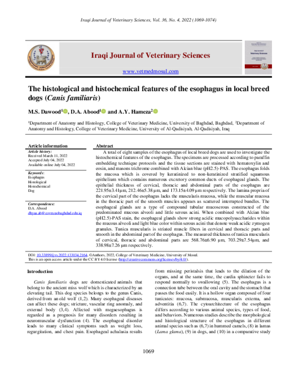 (PDF) Iraqi Journal of Veterinary Sciences