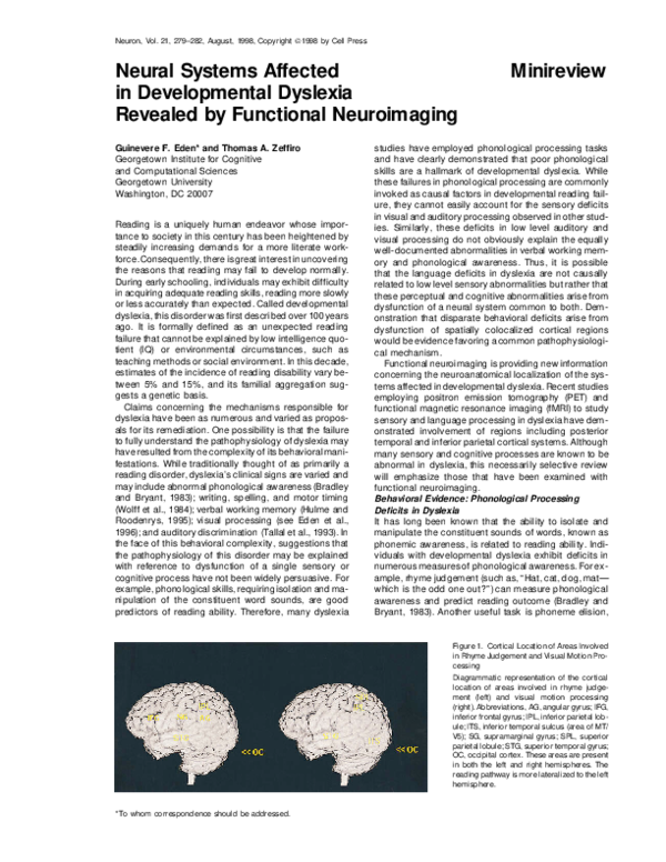 (PDF) Neural Systems Affected in Developmental Dyslexia Revealed by Functional Neuroimaging