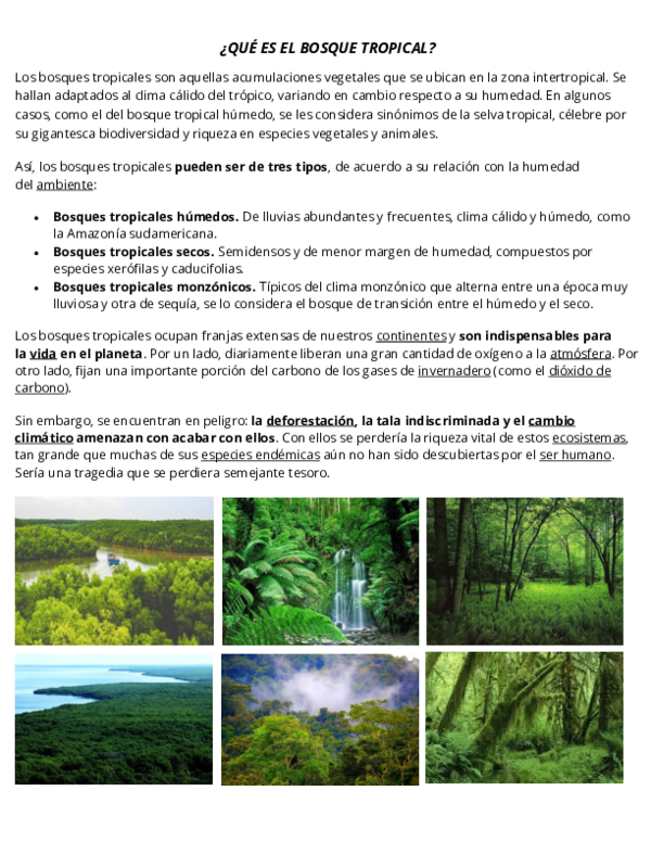 (PDF) BOSQUE TROPICAL Y DESIERTO