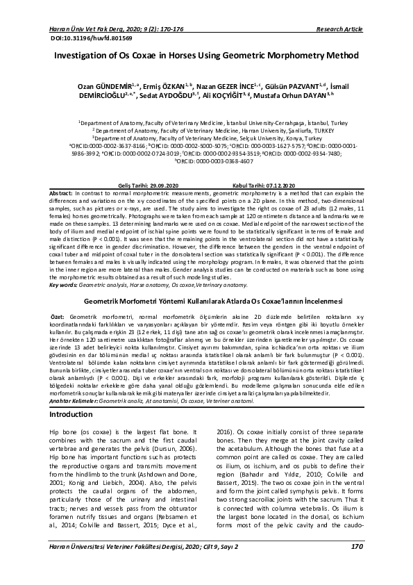 (PDF) Geometrik Morfometri Yöntemi Kullanılarak Atlarda Os Coxae ...