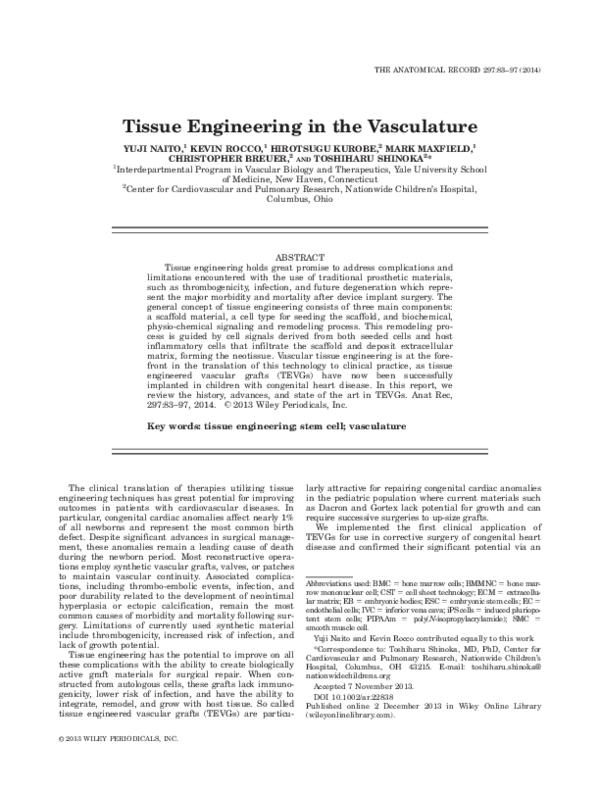 (PDF) Tissue Engineering in the Vasculature