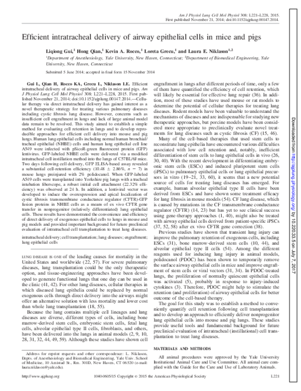 (PDF) Efficient intratracheal delivery of airway epithelial cells in ...